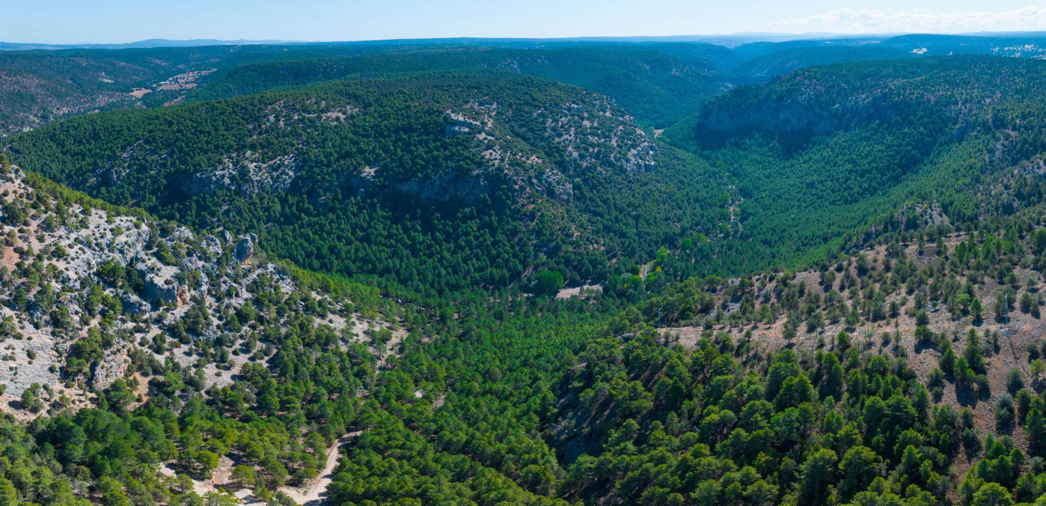 Rewilding Spain trabajará en la restauración de ecosistemas y la ...
